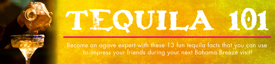 13 Fun Facts about Tequila | Tequila 101 with Bahama Breeze