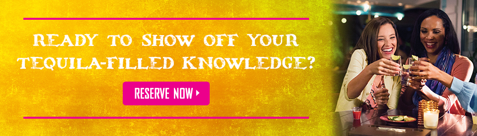 13 Fun Facts about Tequila | Tequila 101 with Bahama Breeze